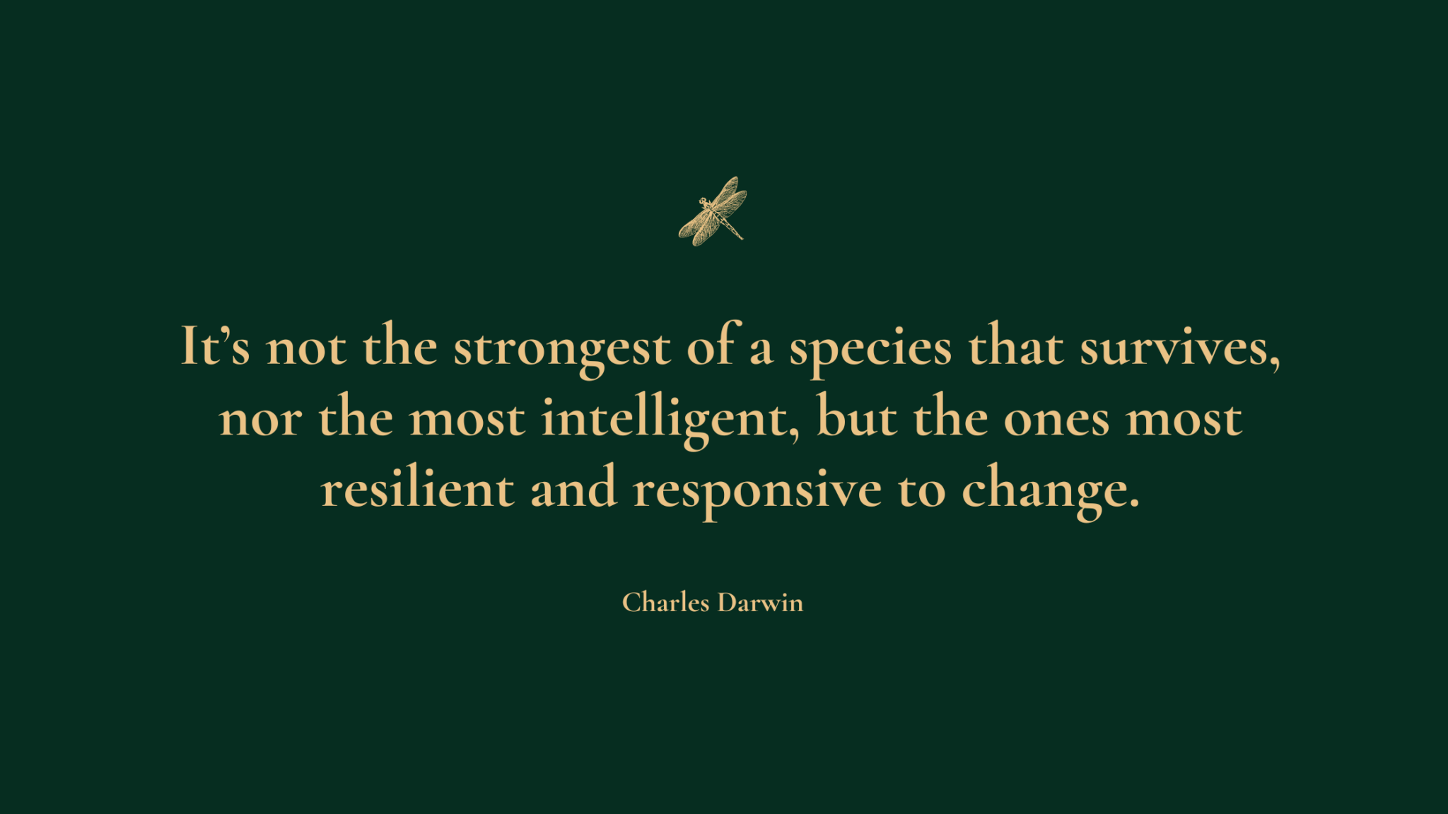 11 quotes about adaptability in business - ADAPT WITH ELINA