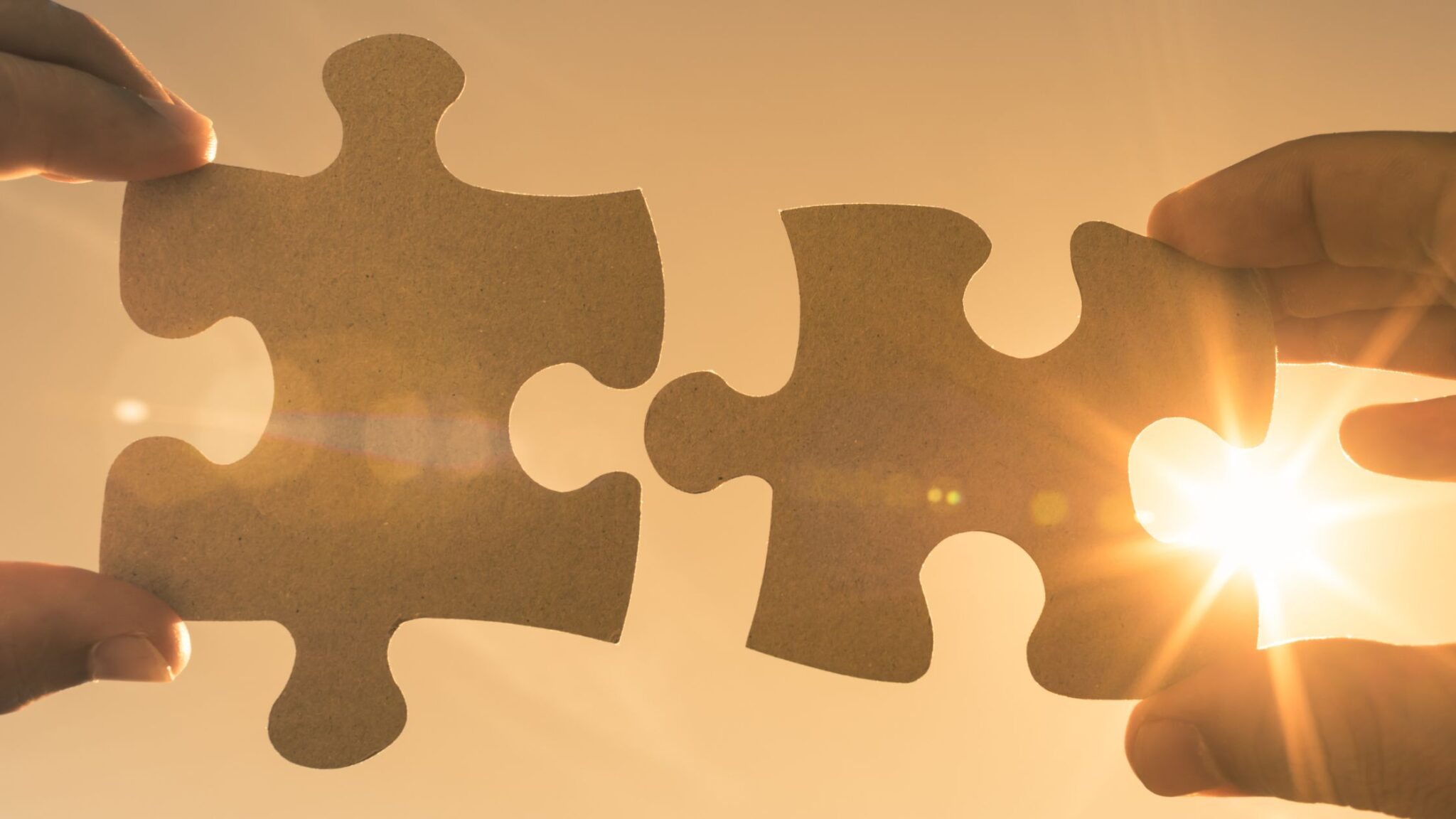 How adaptability improves problem solving in business - ADAPT WITH ELINA